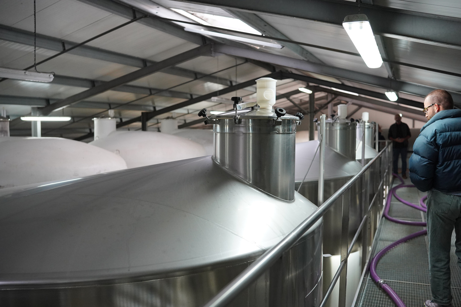 コニャックのワイン製造工程におけるマロラクティック発酵の必要性とその影響 - Brandy Daddy -ブランデーダディ-